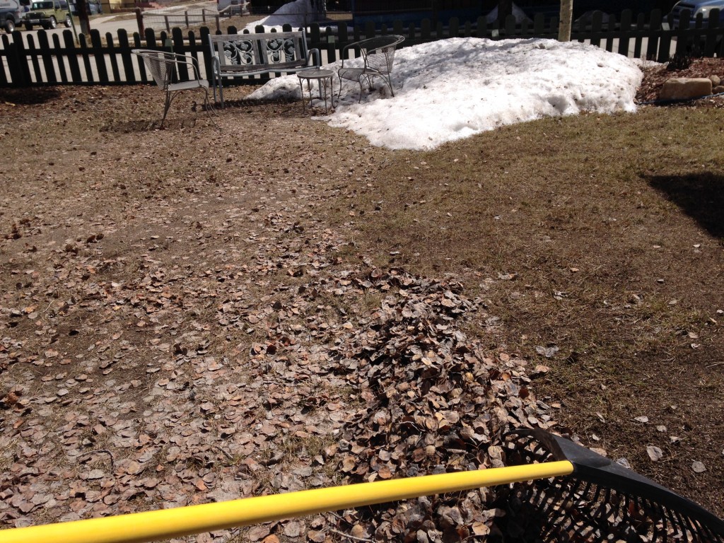 "Rake me!" - Laurel McHargue - Author/Podcast HostLaurel McHargue ...